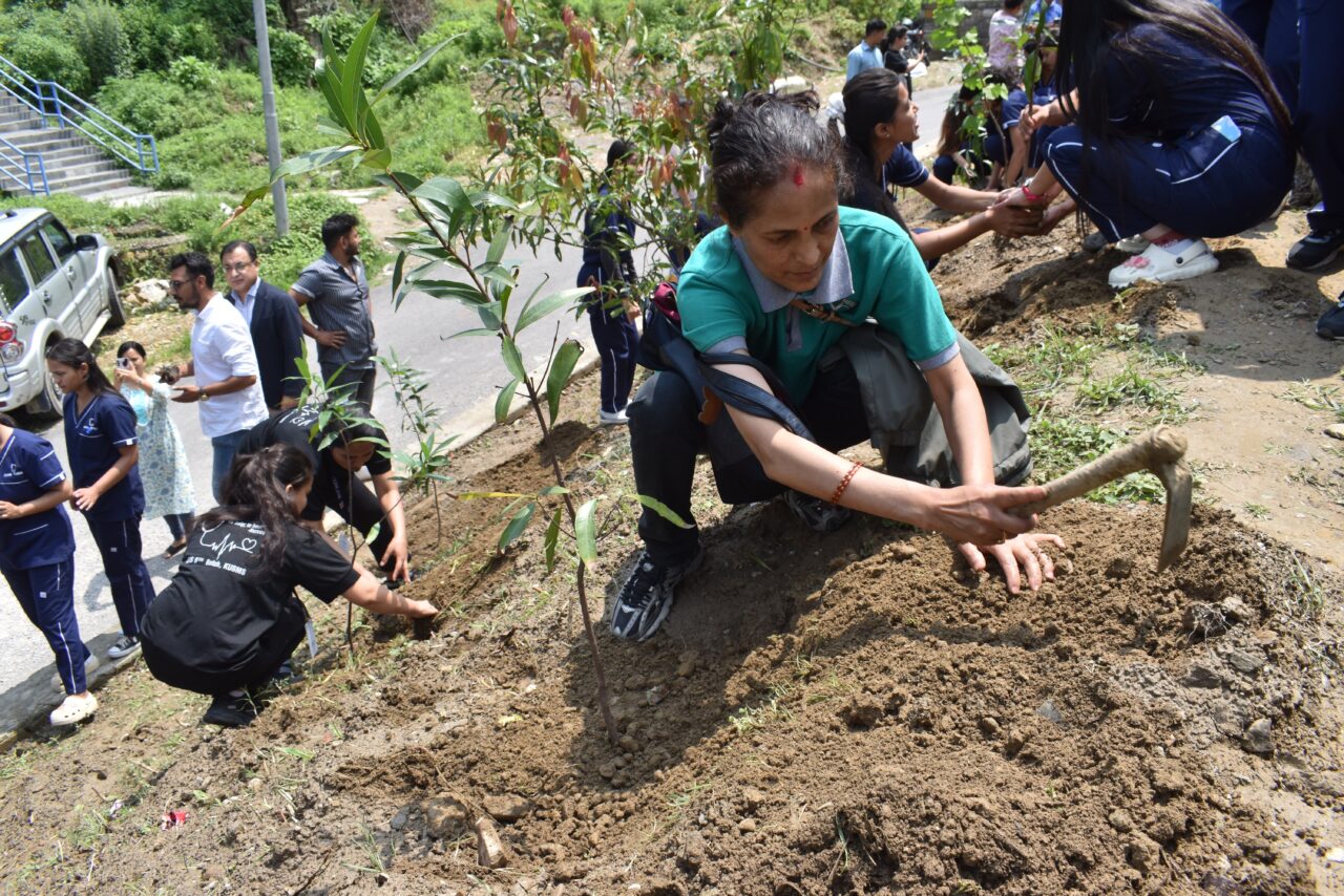 World Environment Day 2024 | Love Green Nepal
